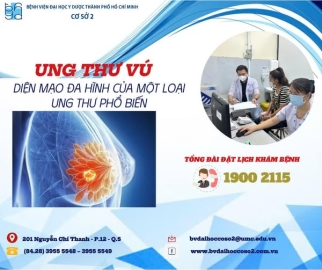 Ung thư Vú - Diện mạo đa hình của một loại ung thư phổ biến và những ...